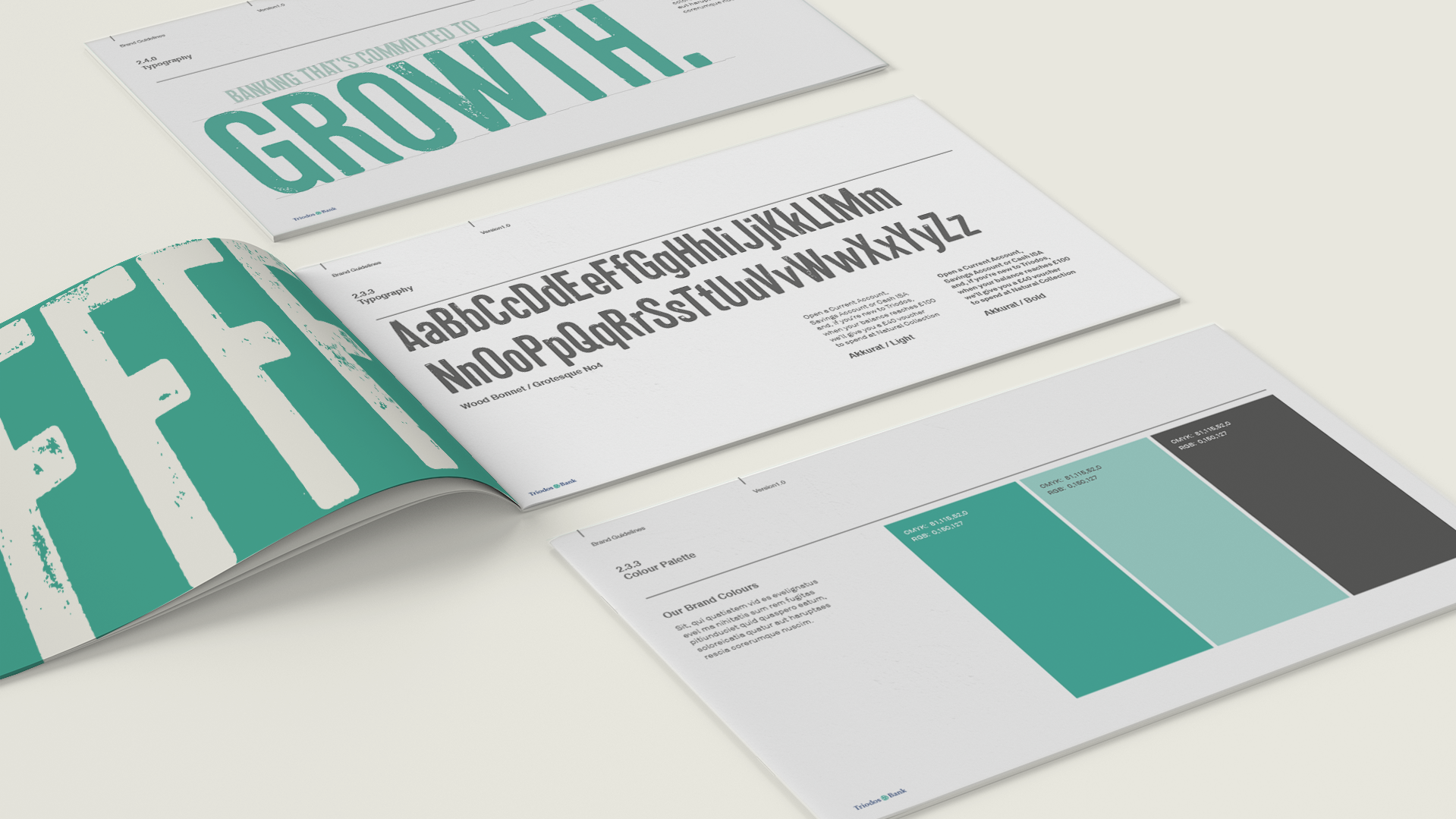 Triodos Bank | Good Eggs - Creative Agency